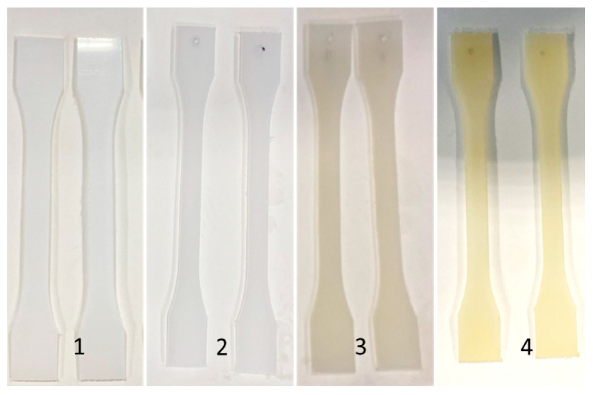 Compatibility Study of Polyamide (PA6) with Lubricant Bases for Electric Vehicle Applications