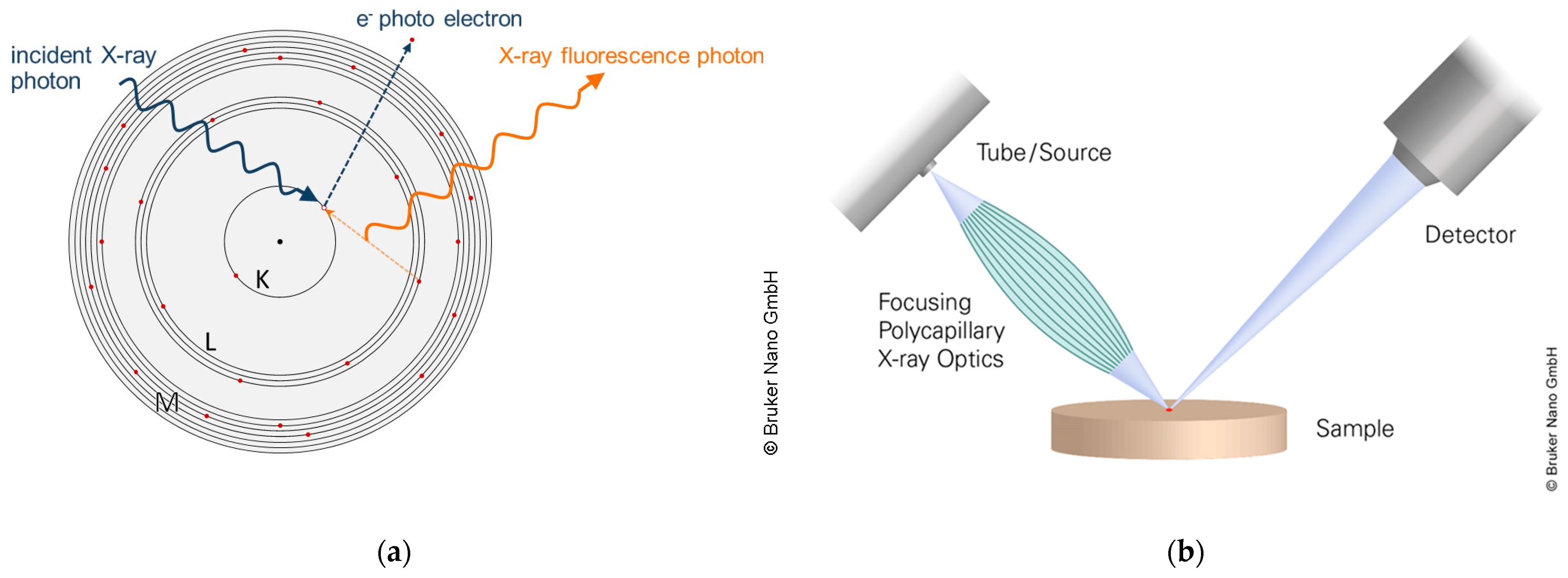 Tribological Behavior of Hydrocarbons in Rolling Contact