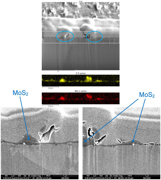 Cold Spray Deposition of MoS2- and WS2-Based Solid Lubricant Coatings