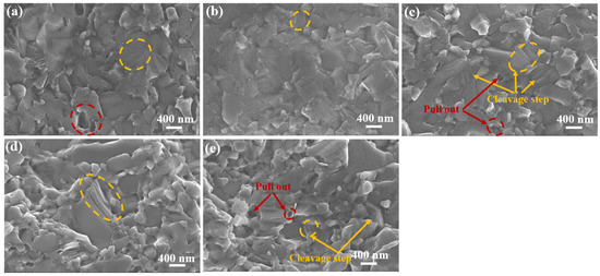 Microstructure, Mechanical, and Tribological Properties of SiC-AlN-TiB2 Multiphase Ceramics