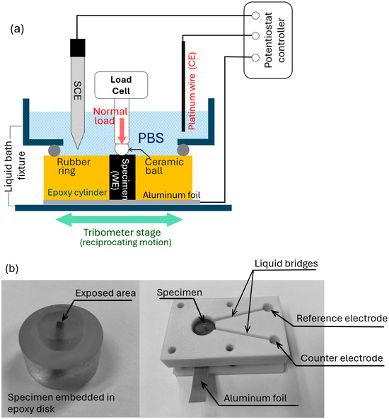 Sliding Contact Fatigue Damage of Metallic Implants in a Simulated Body ...