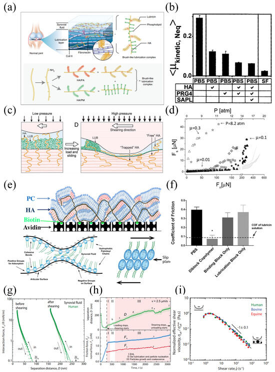 Lubrication and Drag Reduction for Polymer-Coated Interfaces