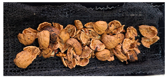 Influence of a Walnut Shell Biochar Additive on the Tribological and ...