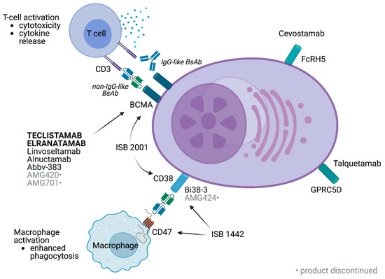 Advancements in Multiple Myeloma Therapies: A Comprehensive Review by Disease Stage