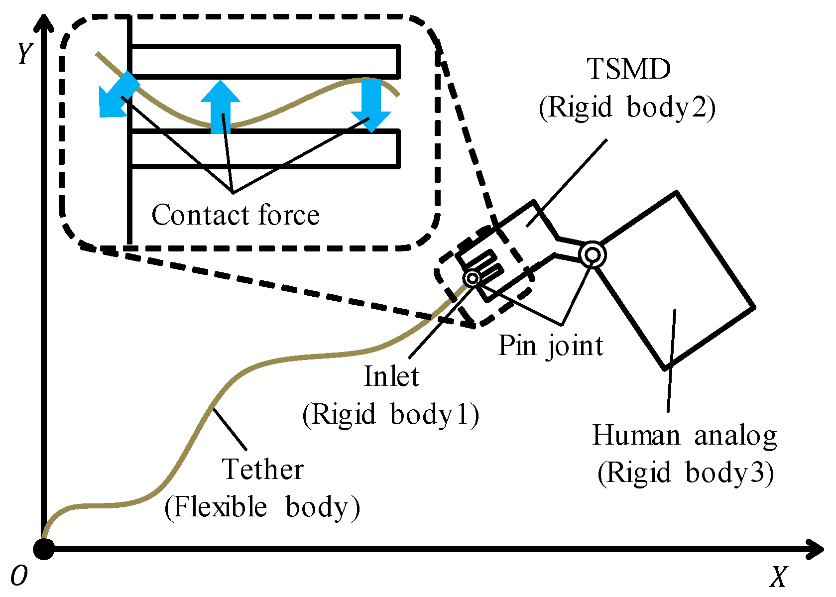 Tether Space Mobility Device Attitude Control during Tether Extension and Winding