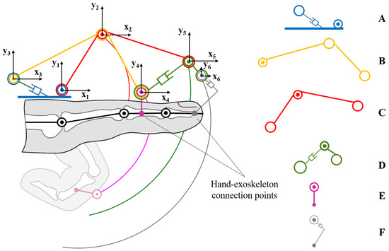 Tailor-Made Hand Exoskeletons at the University of Florence: From ...