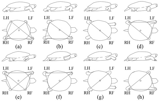 Mechanism Design and Experiment of a Bionic Turtle Dredging Robot