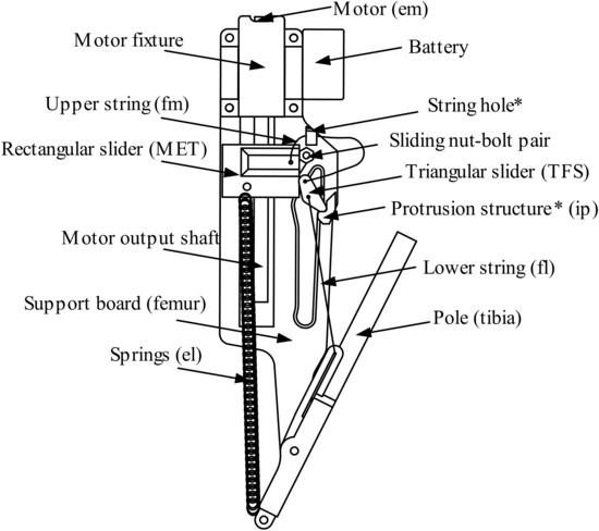 Mechanical Design and Performance Analysis of a Weevil-Inspired Jumping ...