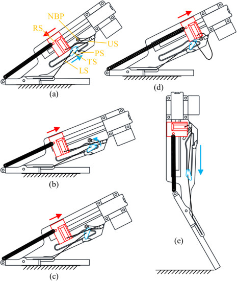 Mechanical Design and Performance Analysis of a Weevil-Inspired Jumping ...