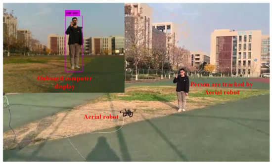 RPEOD: A Real-Time Pose Estimation and Object Detection System for Aerial Robot Target Tracking