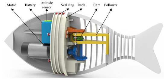 A Novel Fish-Inspired Robot with a Double-Cam Mechanism