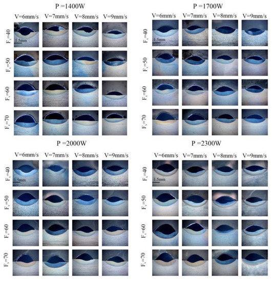 Application of a Bio-Inspired Algorithm in the Process Parameter Optimization of Laser Cladding