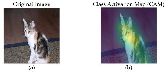 Machines | Free Full-Text | Object Detection via Gradient-Based Mask R ...