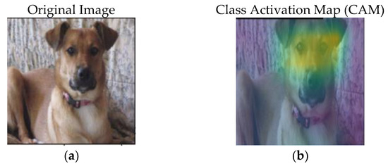 Machines | Free Full-Text | Object Detection via Gradient-Based Mask R ...