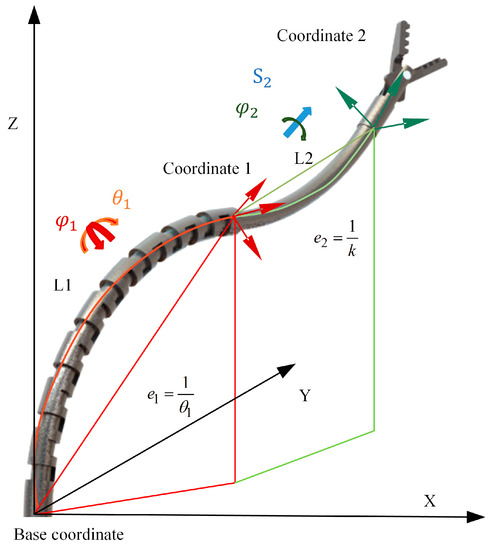 Design and Modeling of a Bio-Inspired Compound Continuum Robot for ...