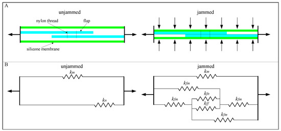 Stiffness-Tuneable Segment for Continuum Soft Robots with Vertebrae