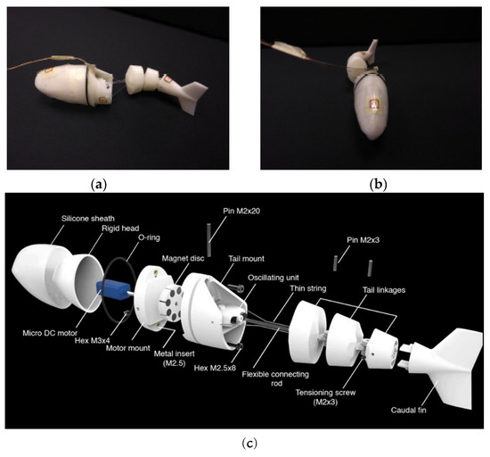 Development of a Novel Underactuated Robotic Fish with Magnetic ...