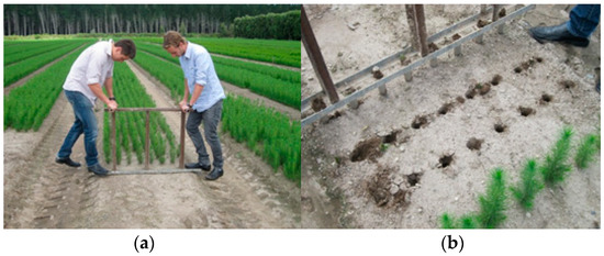 Development and Experimental Analysis of a Pneumatic Based Dibbling ...