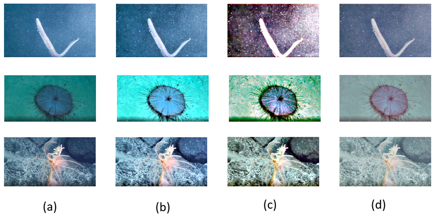 A Deep Learning Model Applied to Optical Image Target Detection and ...