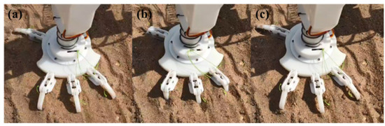 Bionic Design of Multi-Toe Quadruped Robot for Planetary Surface ...