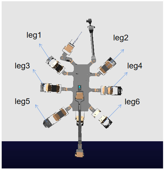 Synergistic Motion Stability of a Scorpion-like Composite Robot