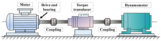 Lightweight Network with Variable Asymmetric Rebalancing Strategy for ...