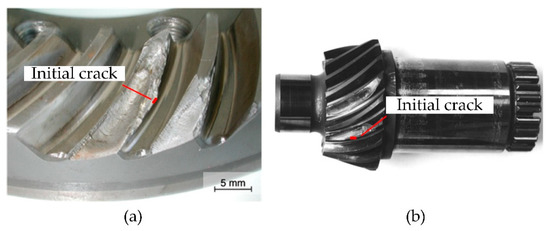 Dynamic Simulation of Cracked Spiral Bevel Gear Pair Considering ...