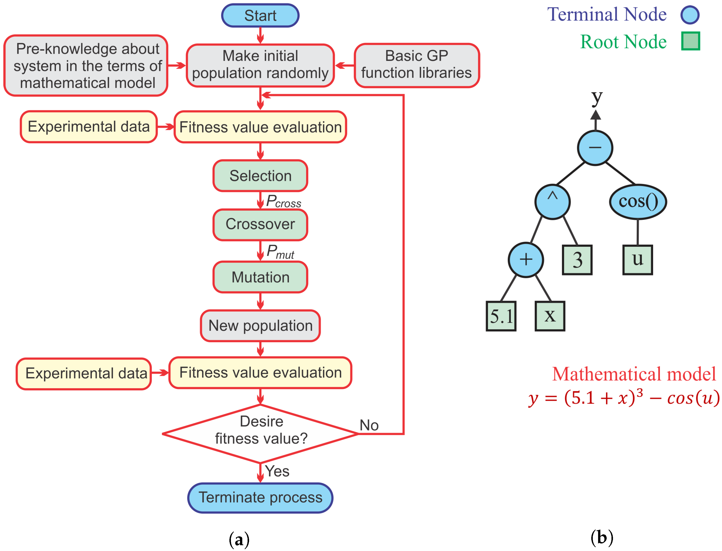Comparison between Genetic Programming and Dynamic Models for Compact ...
