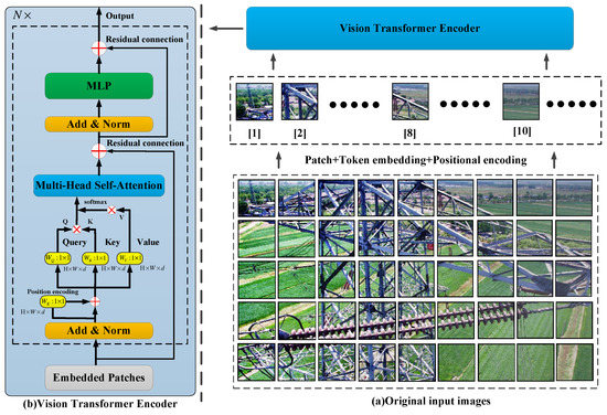 Machines | Free Full-Text | Double-Attention YOLO: Vision Transformer ...