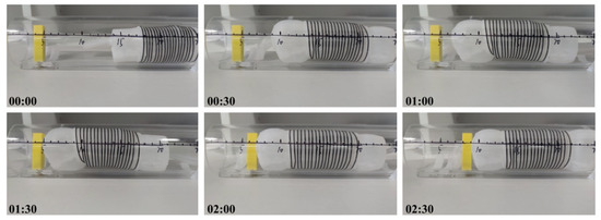 Development of an Earthworm-Based Intestinal Soft Robot Equipped with a ...