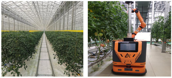 A Neural Network Structure with Attention Mechanism and Additional ...