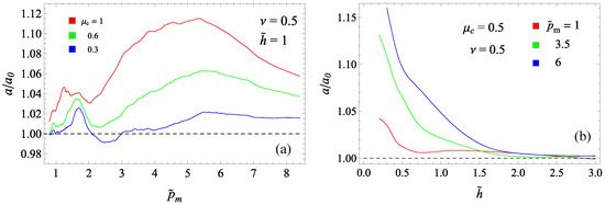 Recent Advancements in the Tribological Modelling of Rough Interfaces