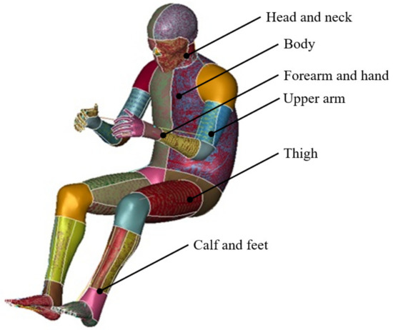 Optimization Study on the Comfort of Human-Seat Coupling System in the ...