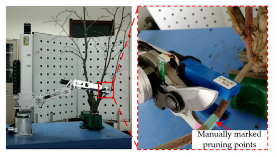 Recent Advancements in Agriculture Robots: Benefits and Challenges