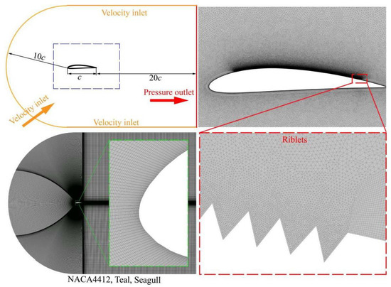 Study on Nonlinear Correlation in Modal Coefficients of the Bionic Airfoil