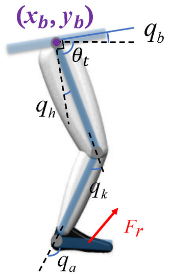 Machines | Free Full-Text | An LWPR-Based Method for Intelligent Lower-Limb Prosthesis Control ...