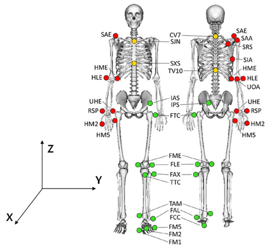 Development of a Worker-Following Robot System: Worker Position ...