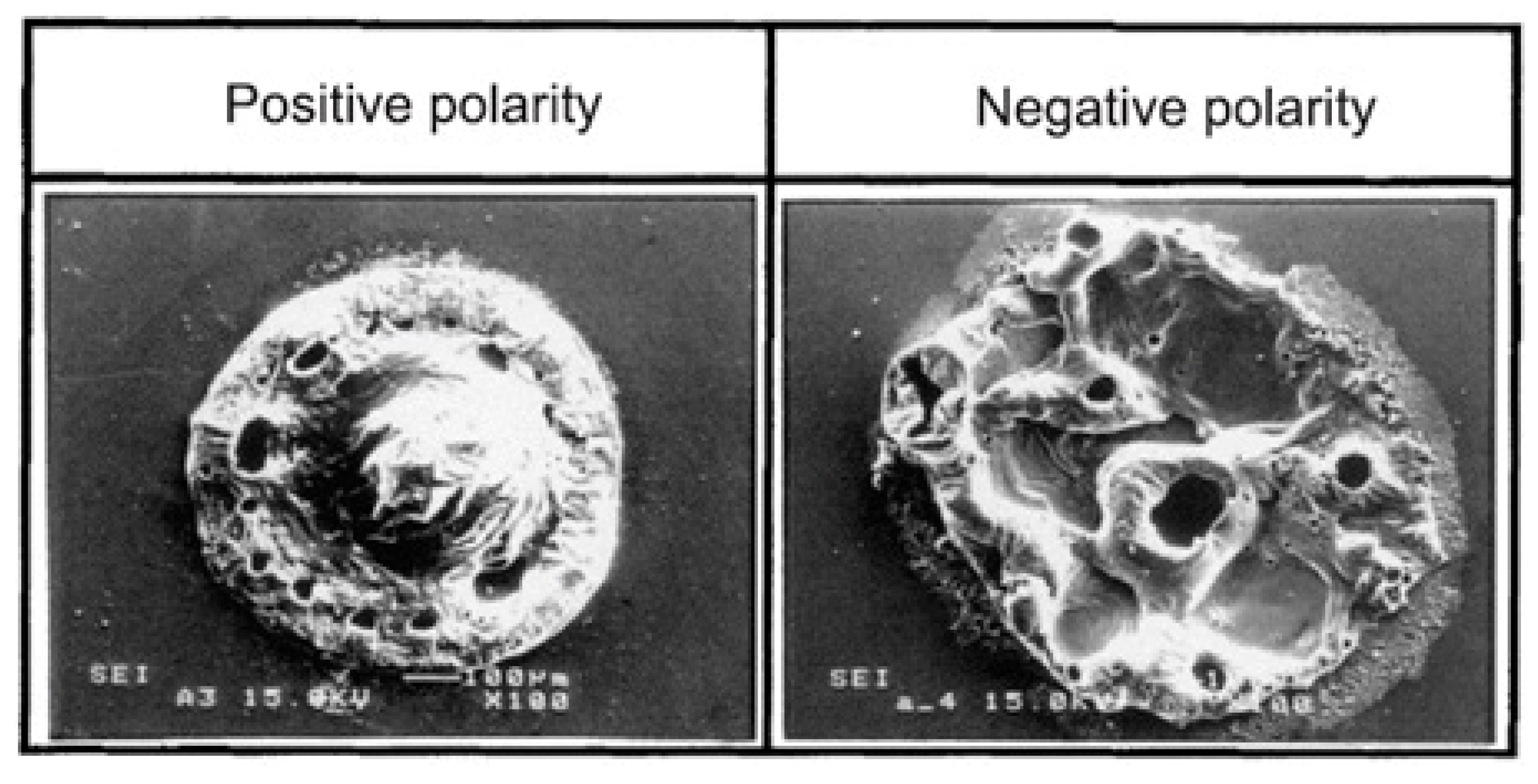Elucidating Powder-Mixed Electric Discharge Machining Process ...