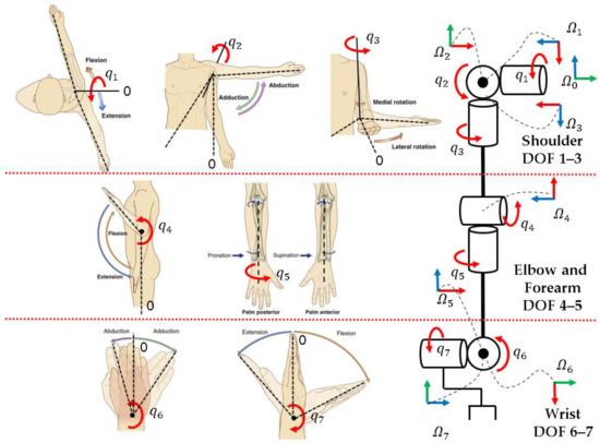 A Wearable Upper Limb Exoskeleton for Intuitive Teleoperation of ...