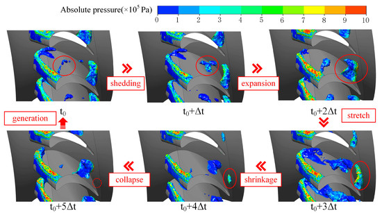 Machines | Free Full-Text | Simulation and Validation of Cavitating Flow in a Torque Converter ...