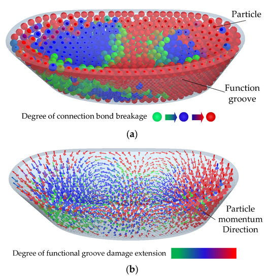 Characterization of Microscopic Damage Evolution of Functional Groove ...