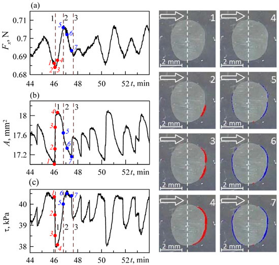 Friction in Adhesive Contacts: Experiment and Simulation