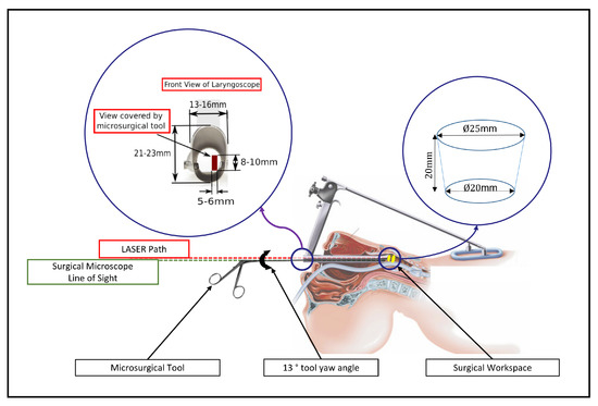 Investigating the Stiffness Characteristics of a Tendon-Driven Continuum Manipulator Using ...