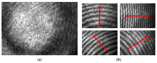 Developing an Interferogram-Based Module with Machine Learning for Maintaining Leveling of Glass ...