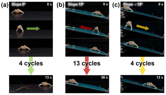 Tendon-Driven Crawling Robot with Programmable Anisotropic Friction by ...
