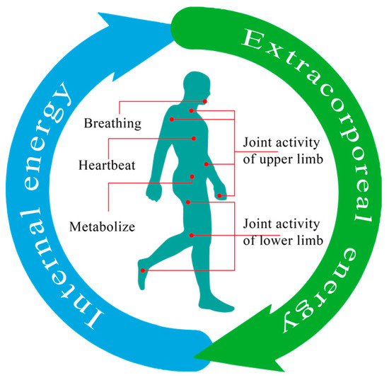 Study on Human Motion Energy Harvesting Devices: A Review