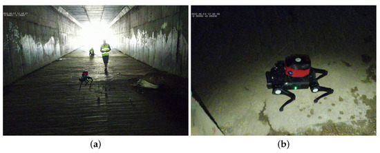 A Portable Artificial Robotic Nose for CO2 Concentration Monitoring