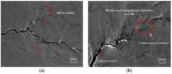 Digital Twins to Predict Crack Propagation of Sustainable Engineering ...