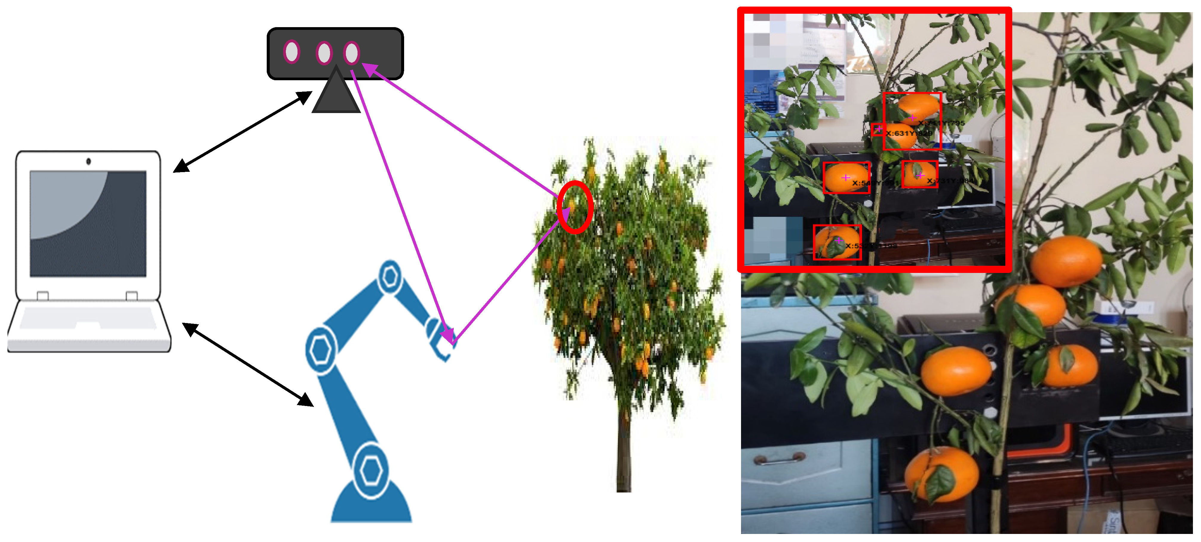 In-Depth Evaluation of Automated Fruit Harvesting in Unstructured Environment for Improved Robot ...