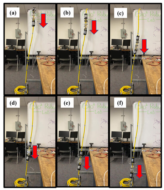 Combined Soft Grasping and Crawling Locomotor Robot for Exterior ...